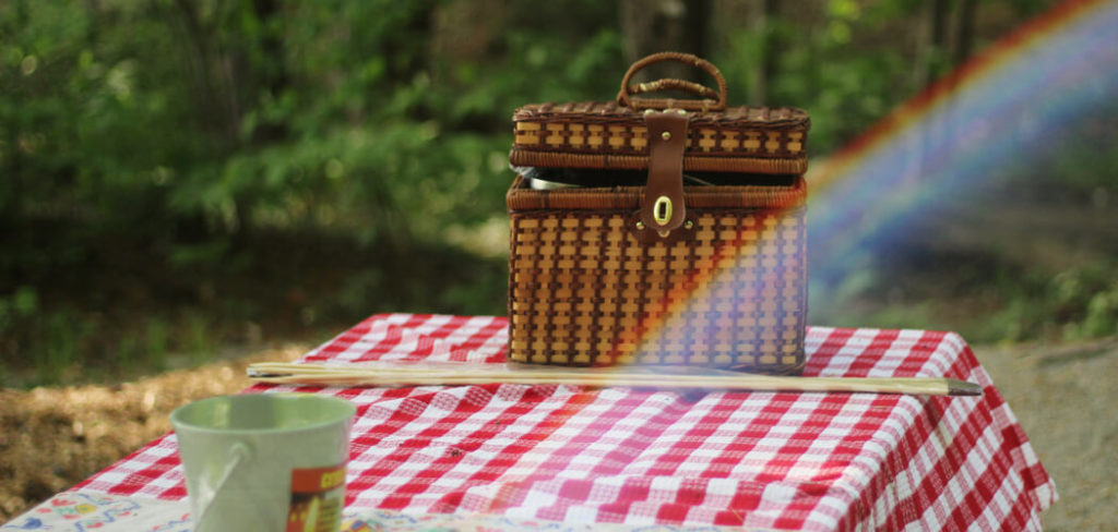 Out-Of-The-Box Picnic Ideas - The Flexible Chef